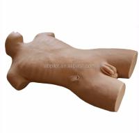 China Human Life Size Vivid Wound Manikin for Central Venipuncture Training in Healthcare for sale