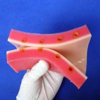 China IV Injection Training Demonstration Medical Teaching Simulator with Vivid Skin Model for sale
