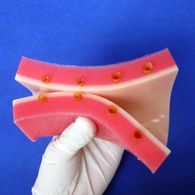 China IV Injection Training Demonstration Medical Teaching Simulator with Vivid Skin Model for sale