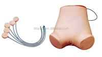 China Vivid Abdominocentesis Skills Practice Model Advantage of Vivid Anatomical Structure for sale