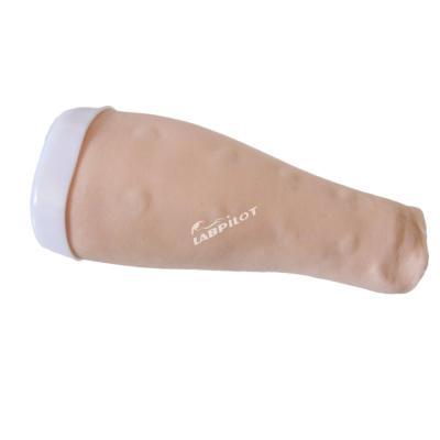 China Skin Test Practice Simulator Human Life Size Intradermal Injection Training Arm Model for sale