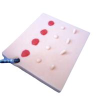 China Perfect Your Patients Care demonstration with Manikin and Skin Lesions Training Model for sale