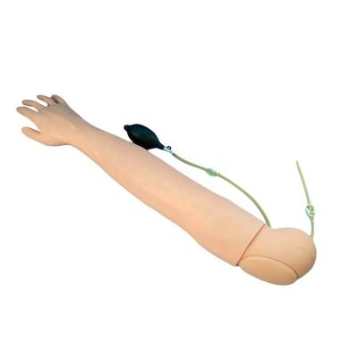 China Medical Teaching Simulator Human Life Size Arm for Blood Drawing and Infusion Practice for sale