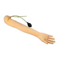 China Medical Teaching Simulator Human Life Size Arm for Blood Drawing and Infusion Practice for sale