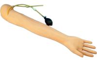 China Medical Teaching Simulator Human Life Size Arm for Blood Drawing and Infusion Practice for sale