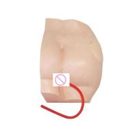 China Advanced PVC Intramuscular Injection Teaching Simulator for Medical Science Subject for sale
