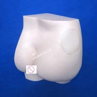 China Advanced PVC Intramuscular Injection Teaching Simulator for Medical Science Subject for sale