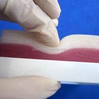 China Medical Science Suture Training 3-Layer Suture Pad with Muscle Fat and Skin Layer for sale