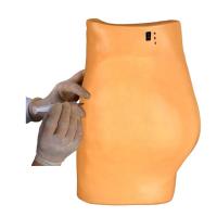 China Medical Model for Puncture Training Demonstration Electronic Muscle Injection Teaching for sale