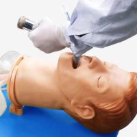China Vivid Anatomy Intubation Head for Electronic Multi-functional Airway Management Model for sale