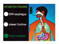 China Vivid Anatomy Intubation Head for Electronic Multi-functional Airway Management Model for sale