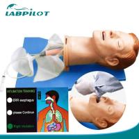 China Vivid Anatomy Intubation Head for Electronic Multi-functional Airway Management Model for sale