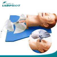 China Vivid Anatomy Intubation Head for Electronic Multi-functional Airway Management Model for sale