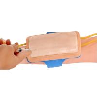 China Advanced PVC Forearm Venipuncture Training Pad IV Injection Pad for Medical Science for sale