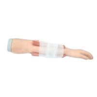 China Wound Nursing Simulator Reduction An Essential Medical Training Model for Wound Care for sale