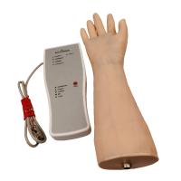China Upgrade Your Clinical Skills Demonstration with Electronic Wrist Joint Puncture Model for sale