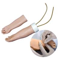 China Medical Science Subject Portable Venipuncture Training Arm Model with Replaceable Skin for sale