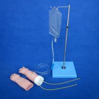 China Medical Science Subject Portable Venipuncture Training Arm Model with Replaceable Skin for sale