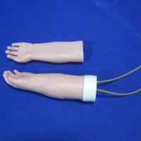 China Medical Science Subject Portable Venipuncture Training Arm Model with Replaceable Skin for sale