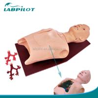 China Patients Care Training Medical Bronchoscopy and Intubation Simulator with Alarms for sale
