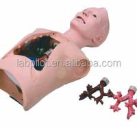 China Patients Care Training Medical Bronchoscopy and Intubation Simulator with Alarms for sale