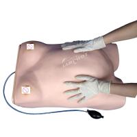 China Electronic Maternity Palpation Model Manikin with Gynecological Auscultation Function for sale