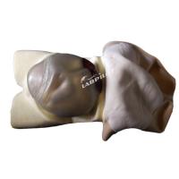China Advanced PVC Maternity Nursing Care Manikin Essential for Maternity Palpation Training for sale