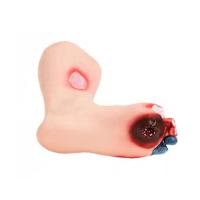 China Human Life Size Foot Model The Essential Tool for Diabetic Foot Care Professionals for sale