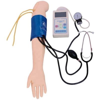 China Arterial Blood Pressure Measurement Training Arm Model Categories Educational Mannequin for sale