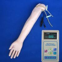 China Arterial Blood Pressure Measurement Training Arm Model Categories Educational Mannequin for sale