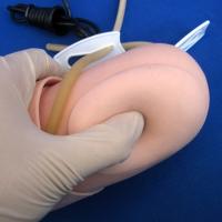China Arterial Blood Pressure Measurement Training Arm Model Categories Educational Mannequin for sale