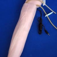 China Arterial Blood Pressure Measurement Training Arm Model Categories Educational Mannequin for sale