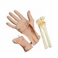 China Discerptible Wrist Arthroscopy Training Simulator Vivid Hand Joint Anatomy for Hospitals for sale