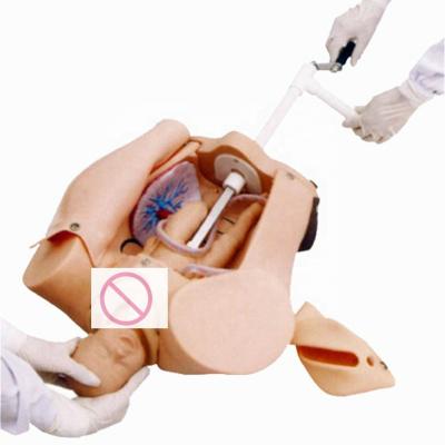 China First Aid Manikin for Patients Care Demonstration Advanced Birthing Teaching Simulator for sale
