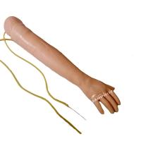 China Medical Science Venipuncture and IM Injection Training Arm Model with Spared Skin for sale
