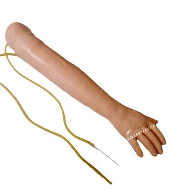 China Medical Science Venipuncture and IM Injection Training Arm Model with Spared Skin for sale