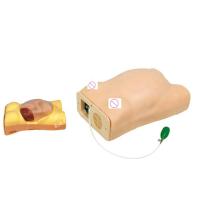 China Human Life Size Pregnancy Manikin Auscultation Teaching Simulator for Medical Science for sale