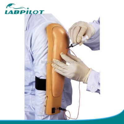 China Clinical Nursing Skills Training Medical Teaching Simulators Arm Injection Training Model for sale