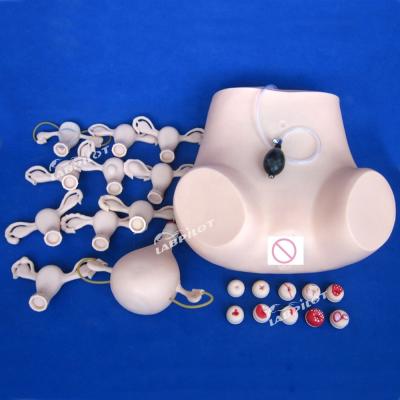 China PVC Palpation Gynecological Examination Training Manikin with Contraception Function for sale