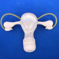 China PVC Palpation Gynecological Examination Training Manikin with Contraception Function for sale