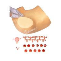 China PVC Palpation Gynecological Examination Training Manikin with Contraception Function for sale