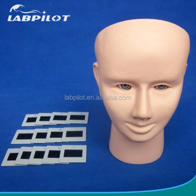China PVC Eye Inspection Teaching Model for Human Life Size Funduscopic Examination for sale