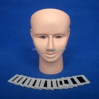 China PVC Eye Inspection Teaching Model for Human Life Size Funduscopic Examination for sale