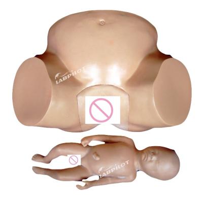 China Vacuum Extraction Birthing Simulator for Midwifery Training Patients Care Demonstration for sale
