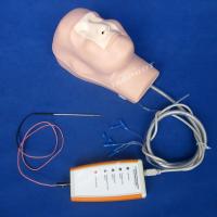 China Nasal Hemostasis Cauterization and Packing Training Manikin for Function Medical Model for sale