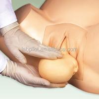China Vacuum Extraction Birthing Simulator for Midwifery Training Patients Care Demonstration for sale