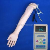 China Advanced Blood Pressure Training Arm Simulator Model for Clinical Nursing Practice for sale