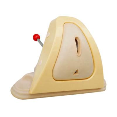 China Medical Science Training Perineorrhaphy Stitching Model and Perineum Cutting Simulator for sale