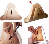 China Medical Science Training Perineorrhaphy Stitching Model and Perineum Cutting Simulator for sale