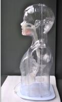 China Transparent Children Nasal Feeding and Gastric Lavage Model Nursing Simulator ' Top Choice for sale
